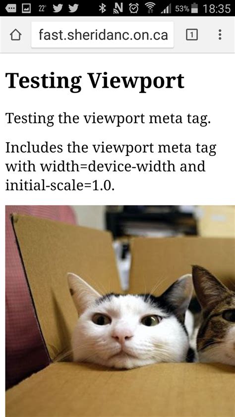 Wendi S Web CSS Responsive Design
