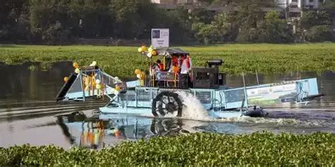 Powai Lake Cleanup Project To Begin With Sewage Diversion