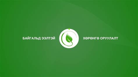 Ногоон зээл Youtube