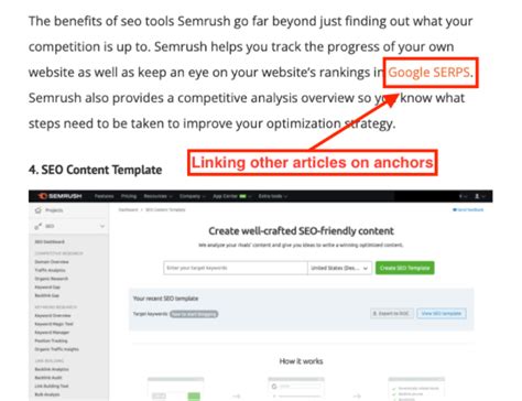 10 simple wordpress tips for website content optimization by amit
