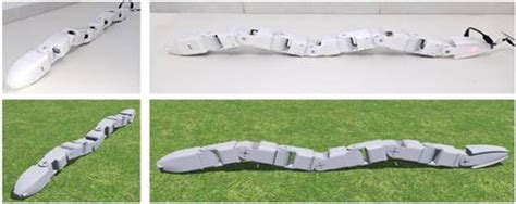 Design And Construction Of A Snake Like Robot Implementing Rectilinear And Sidewinding Gait Motions