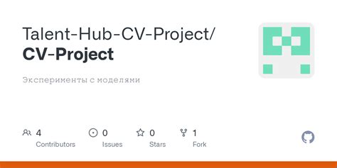 github talent hub cv project cv project