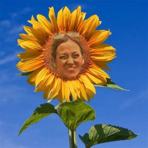 Cassi Rooney Cassiopeia • Threads Say More