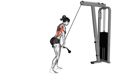Cable Straight Arm Pulldown V2 Video Guide And Tips