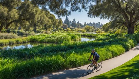 Exploring Davis In California Top Attractions And Tips