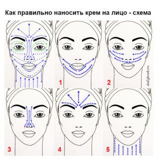 Массажные линии лица и шеи: схема нанесения крема и техника самомассажа