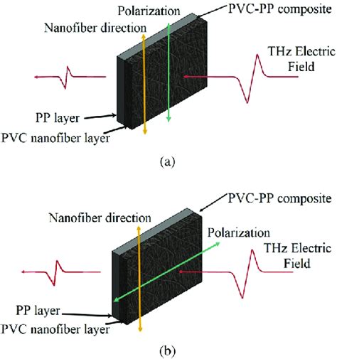 Schematic Representation Of The Measurement A Vertical Polarization