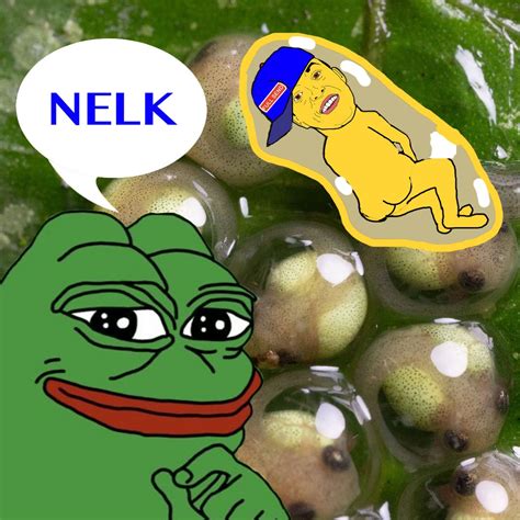 What Is Nelkcoin Nelk …nelkcoin Nelk Is A Memecoin That… By Nelkcoin Medium