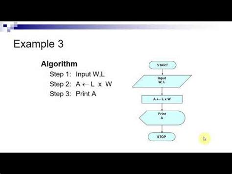 Pseudocode Algorithm And Flowchart Bangla Tutorial YouTube