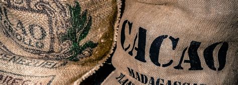 Cocoa Processing Cocoa Press Cake Chocolate Crumbs