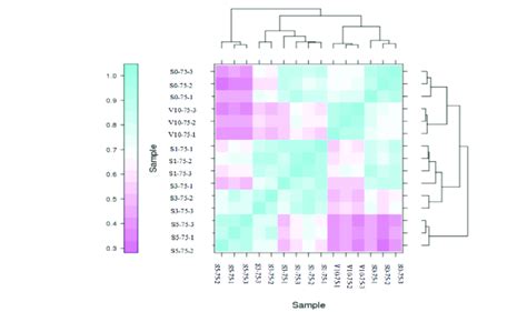 Sample Correlation Analysis Download Scientific Diagram