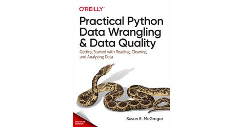 Praktisches Python Data Wrangling Und Datenqualität Book