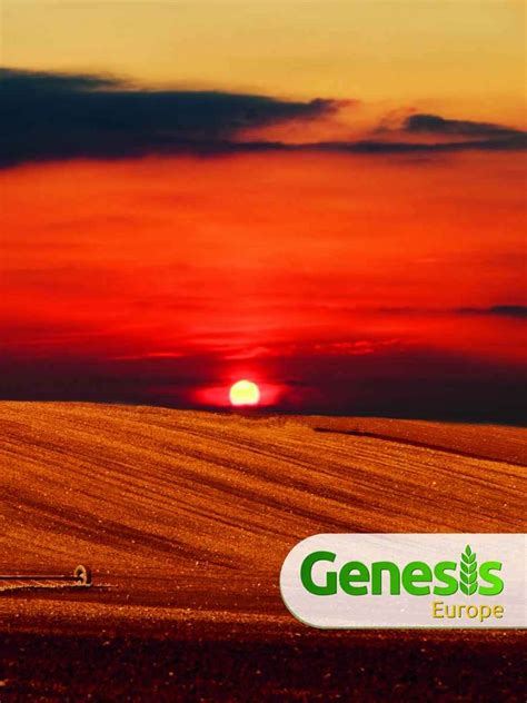 Genesis Europe - Течни торове за високи резултати