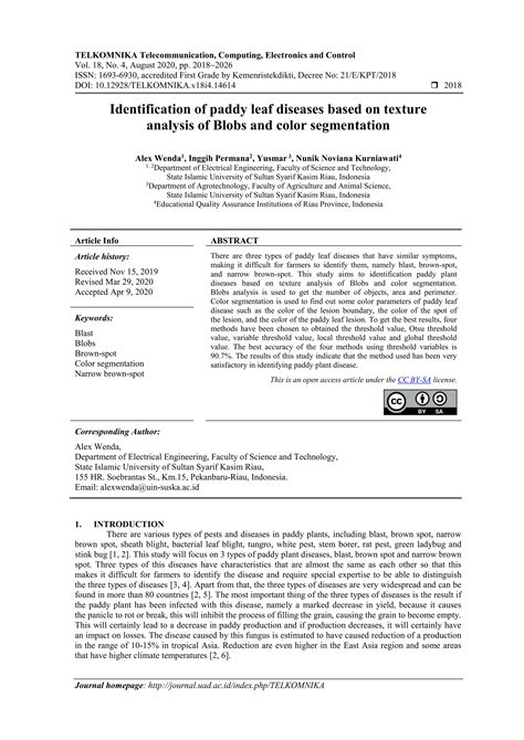 Identification Of Paddy Leaf Diseases Based On Texture Analysis Of Blobs And Color Segmentation