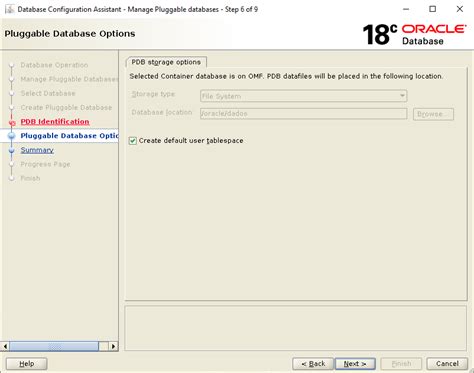 Creating An Oracle Database From The Seed Using Dbca Swiv