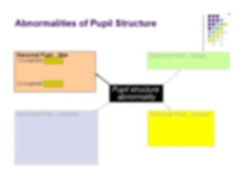 Abnormalities Of The Human Pupil Shape Location Number And Size Exercises Anatomy Docsity