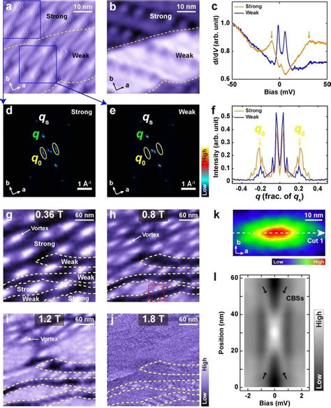 Spatial Distribution Of Magnetic Vortex Lattice And Absence Of