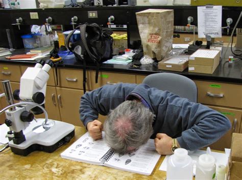 Bug Eric Spider Sunday Spider Sex Ed