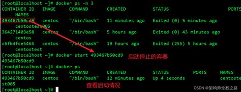 一文讲明Docker的基本使用常见Docker命令使用 Docker的安装使用等详细说明 图解 概念 实践 阿里云开发者社区