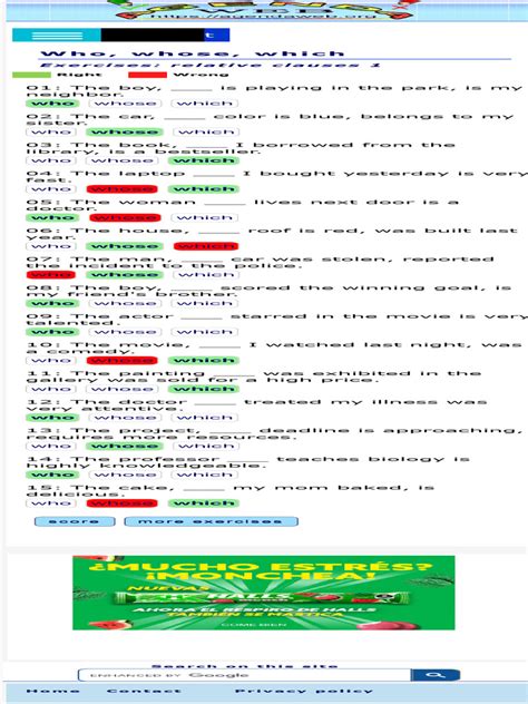 Who Whose Which Exercises Pdf