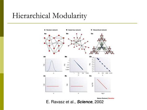 ppt biological networks powerpoint presentation free download id