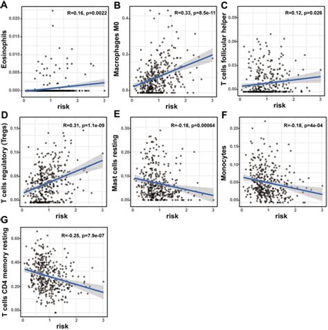 The Correlation Of The Lncrna Signature With Immune Cell Infiltration Download Scientific