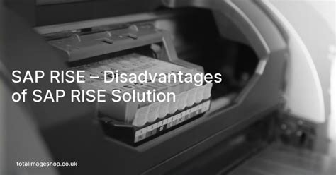 Sap Rise Disadvantages Of Sap Rise Solution Total Image Shop