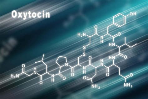 Oxitocina ¿cómo Aumentar Los Niveles De La Hormona Del Amor