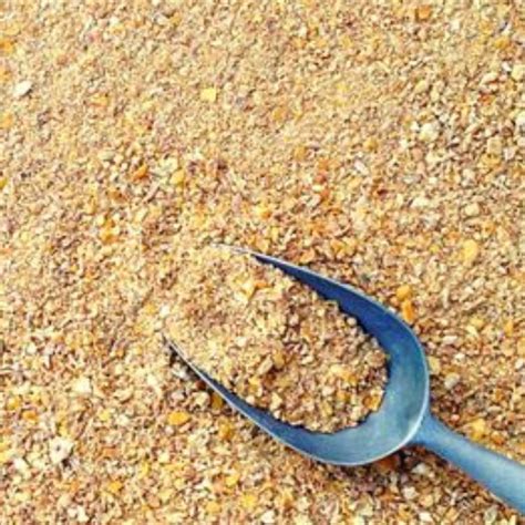 Homemade Quail Feed Balanced Recipes For Coturnix Quail