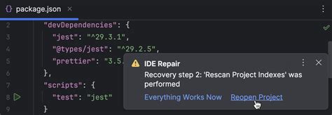 修复 Ide Webstorm 文档