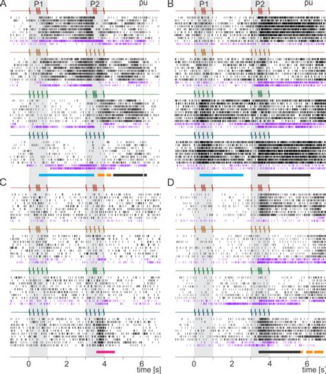 Single Neuron Activity In Dpc During The Pattern Discrimination Task Download Scientific