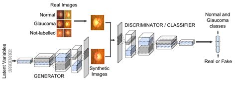 Schema Of The Dcgan Architecture Used As A Semi Supervised Learning Download Scientific Diagram
