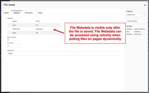 File Metadata Dotcms