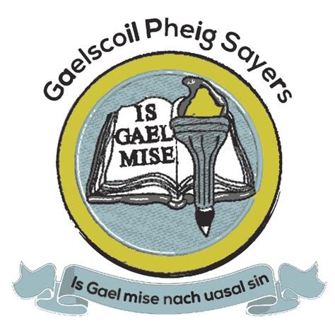 Gaelscoil Pheig Sayers By Omd Consult