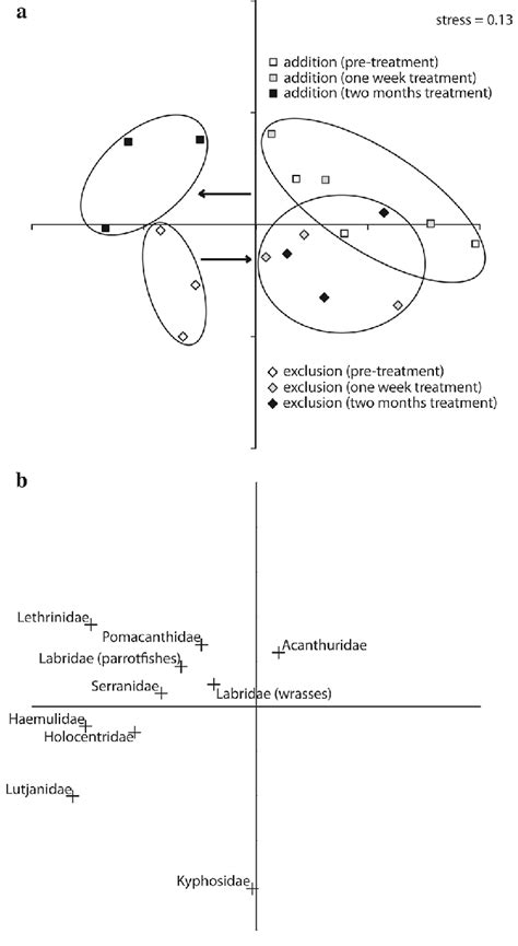 Non Metric Multi Dimensional Scaling Analysis Showing The Relationships