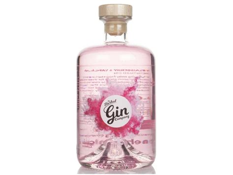 Raspberry Gins Discover The Best Raspberry Gins The Gin Guide