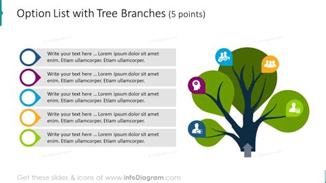 Option List Illustrated With Five Tree Branches