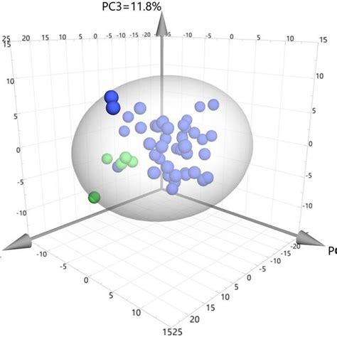 Fluorescence Hyperspectral Imaging System Download Scientific Diagram