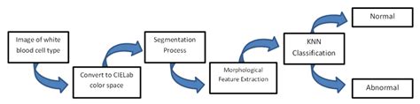 The Research Block Diagram Download Scientific Diagram