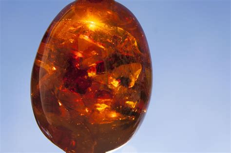 100000 Free Amber Color And Amber Images Pixabay