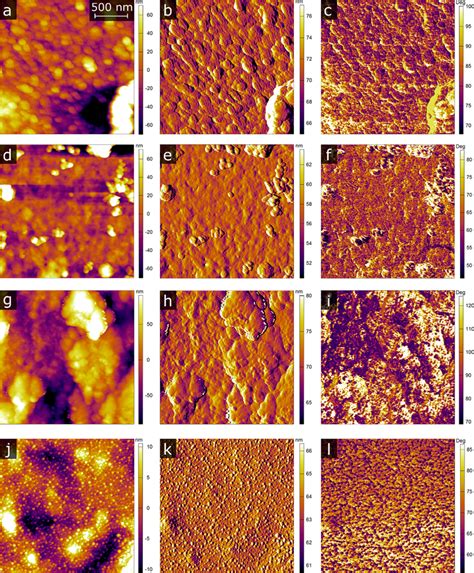 Afm Height Amplitude And Phase Image Left To Right Recorded By Download Scientific Diagram