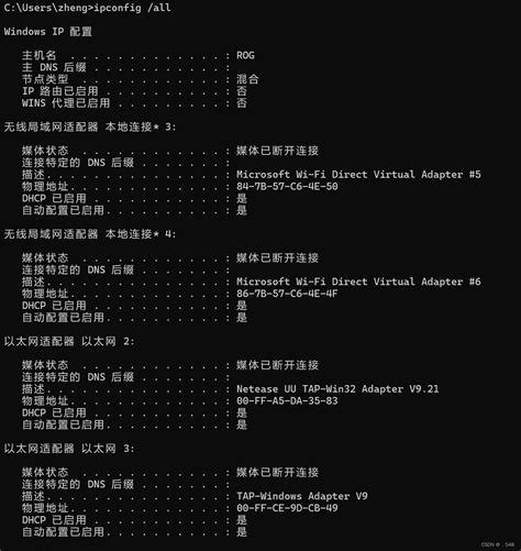 使用ipconfig查找本地dns服务器时显示媒体已断开ipconfig显示媒体已断开连接 Csdn博客