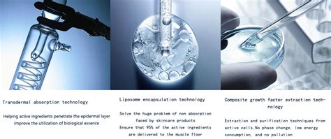 Liposome Encapsulation Exploring Liposomes The Miraculous Carrier In