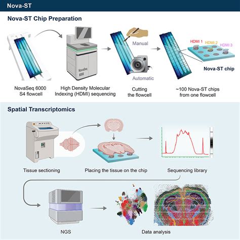 Nova St A Nano Patterned Ultra Dense Platform For Spatial