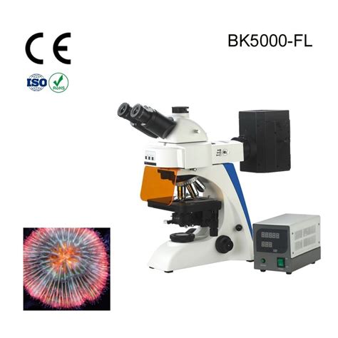 Dark Field Microscope Operation Fluorescent Microscopy For Professional Educational Microscope