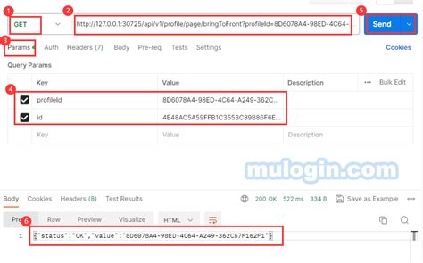 Mulogin Api切换浏览器页签（tab） Mulogin帮助文档