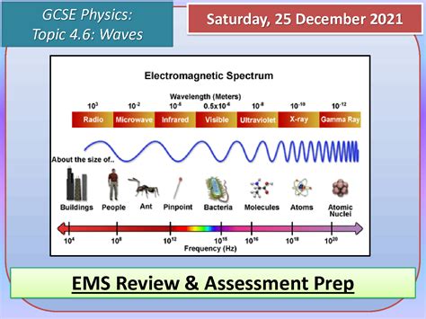 SOLUTION Ems Review Studypool