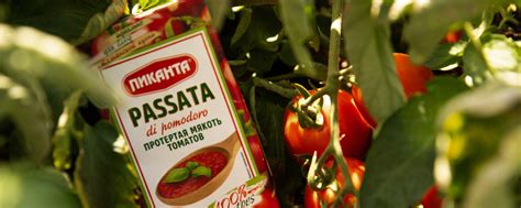 Пиканта | Рады приветствовать Вас на официальной странице компании ...