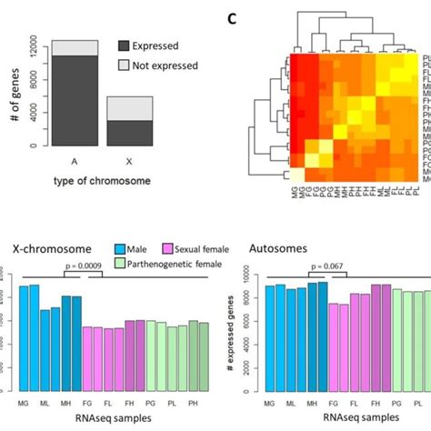 Gene Expression In The 18 Different Rna Seq Samples A Number Of Genes