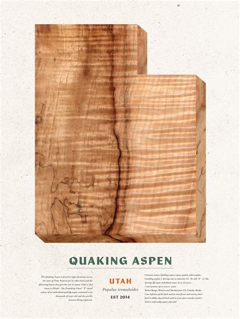 State Tree Map Posters Individual States — Range Native